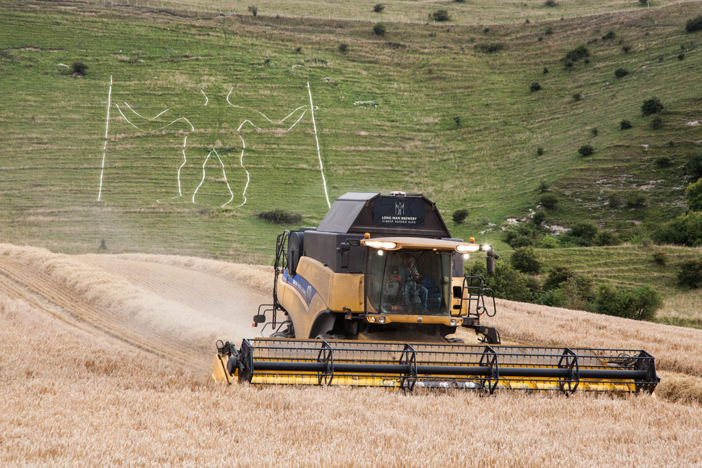 The Long Man - Long Man Brewery